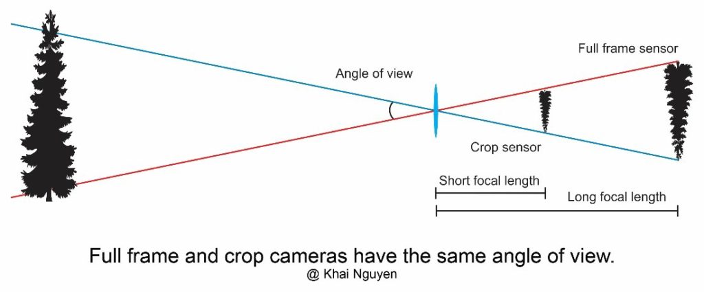 The Myth of Equivalent Focal Length - IMF – World Bank International ...